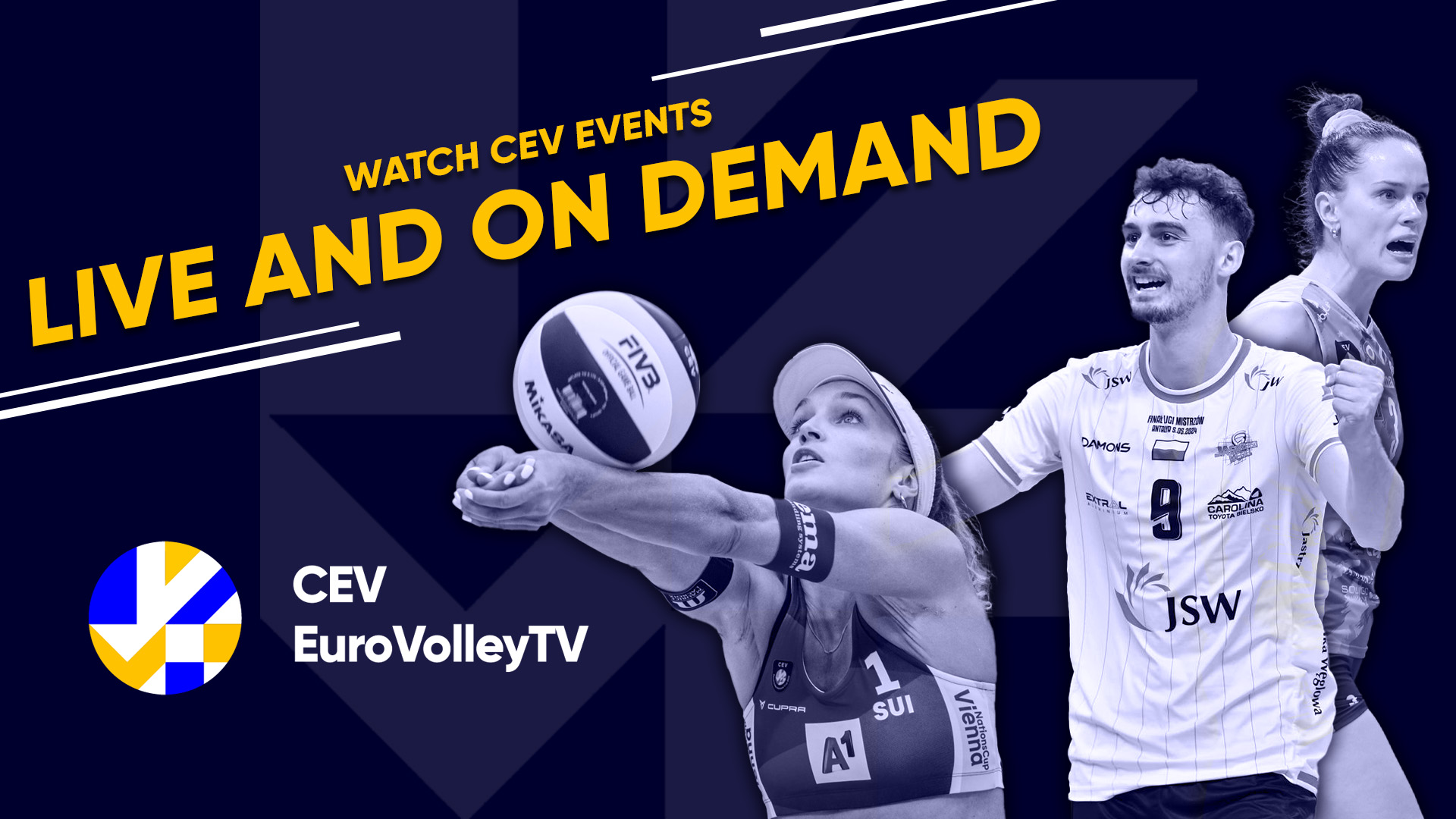 CEV FAQs CEV FAQs